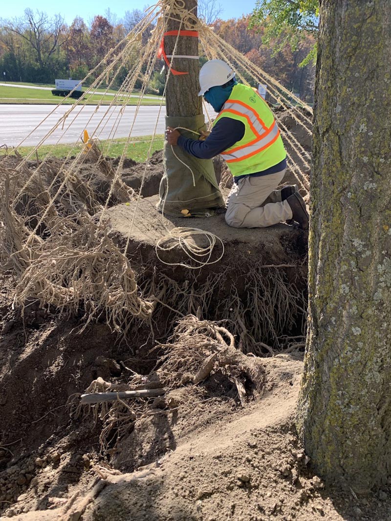 RE-TREE